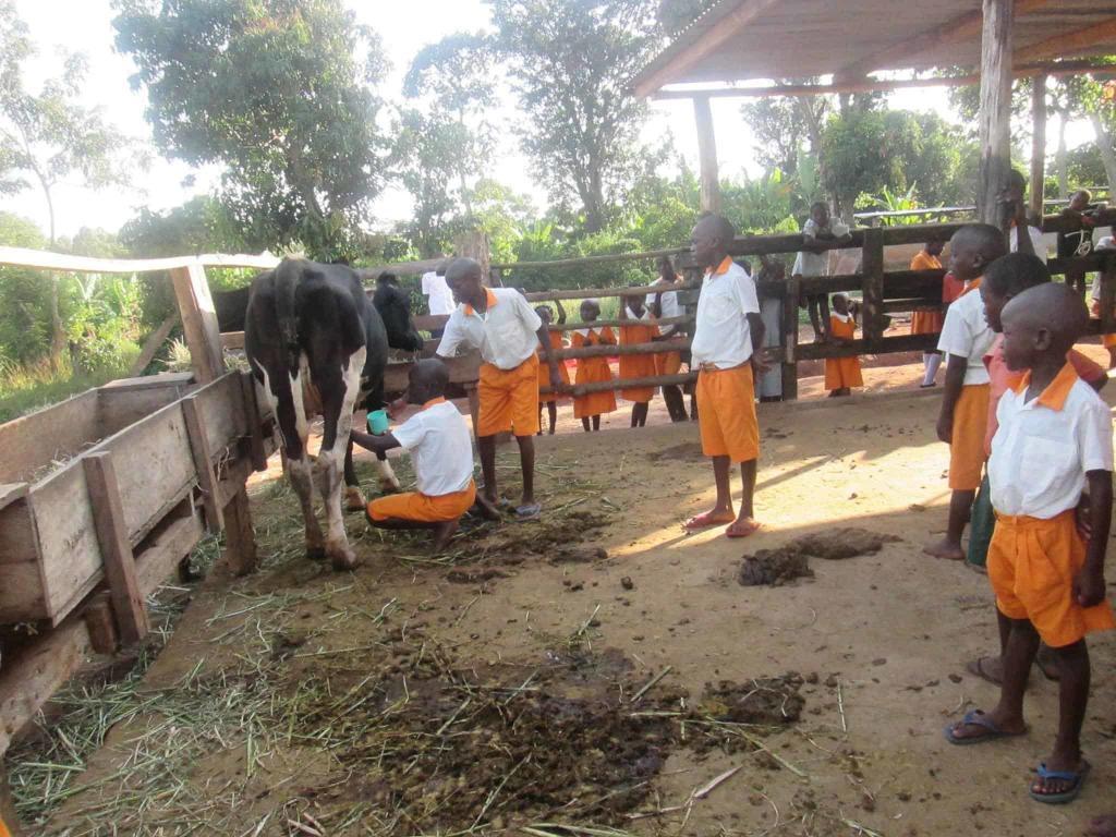 Learning Organic Farming | URICT Uganda